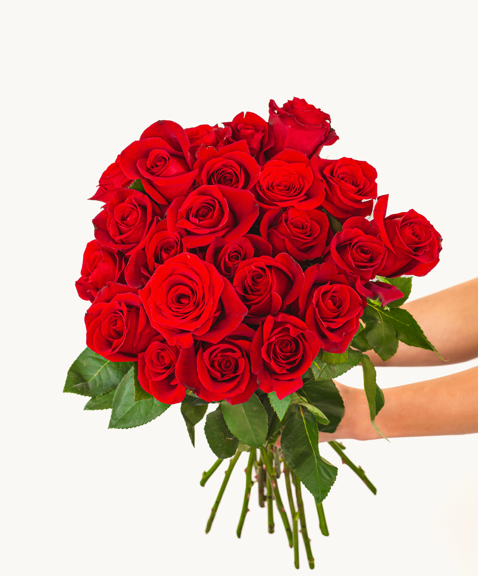 Splendid Red Roses Bouquet | BloomsyBox