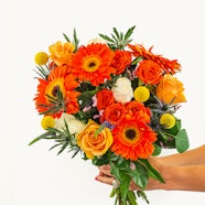 Bi weekly Flower Delivery Flower Subscription BloomsyBox Bi weekly Flower Delivery Flower Subscription BloomsyBox