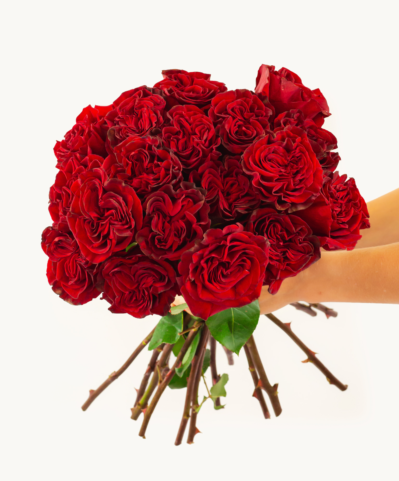 Bouquet of Roses Delivery | Send Roses | BloomsyBox