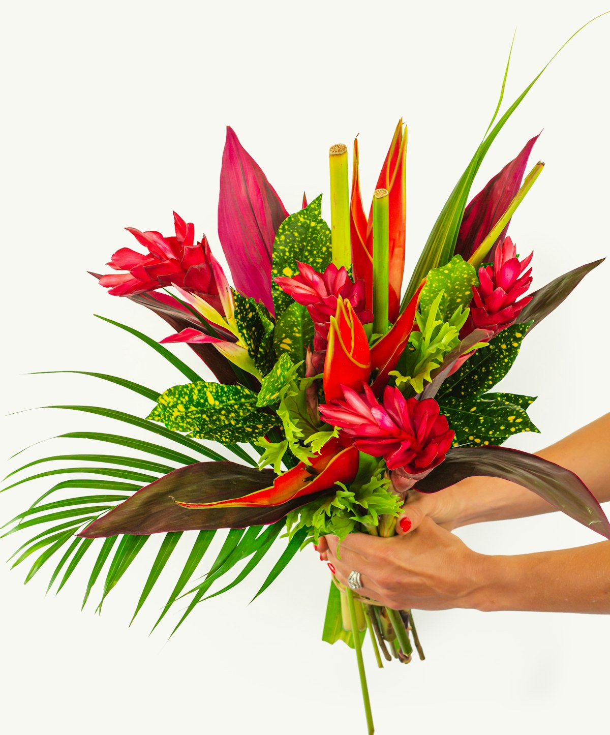 Tropical Treasure | Send Flowers | BloomsyBox