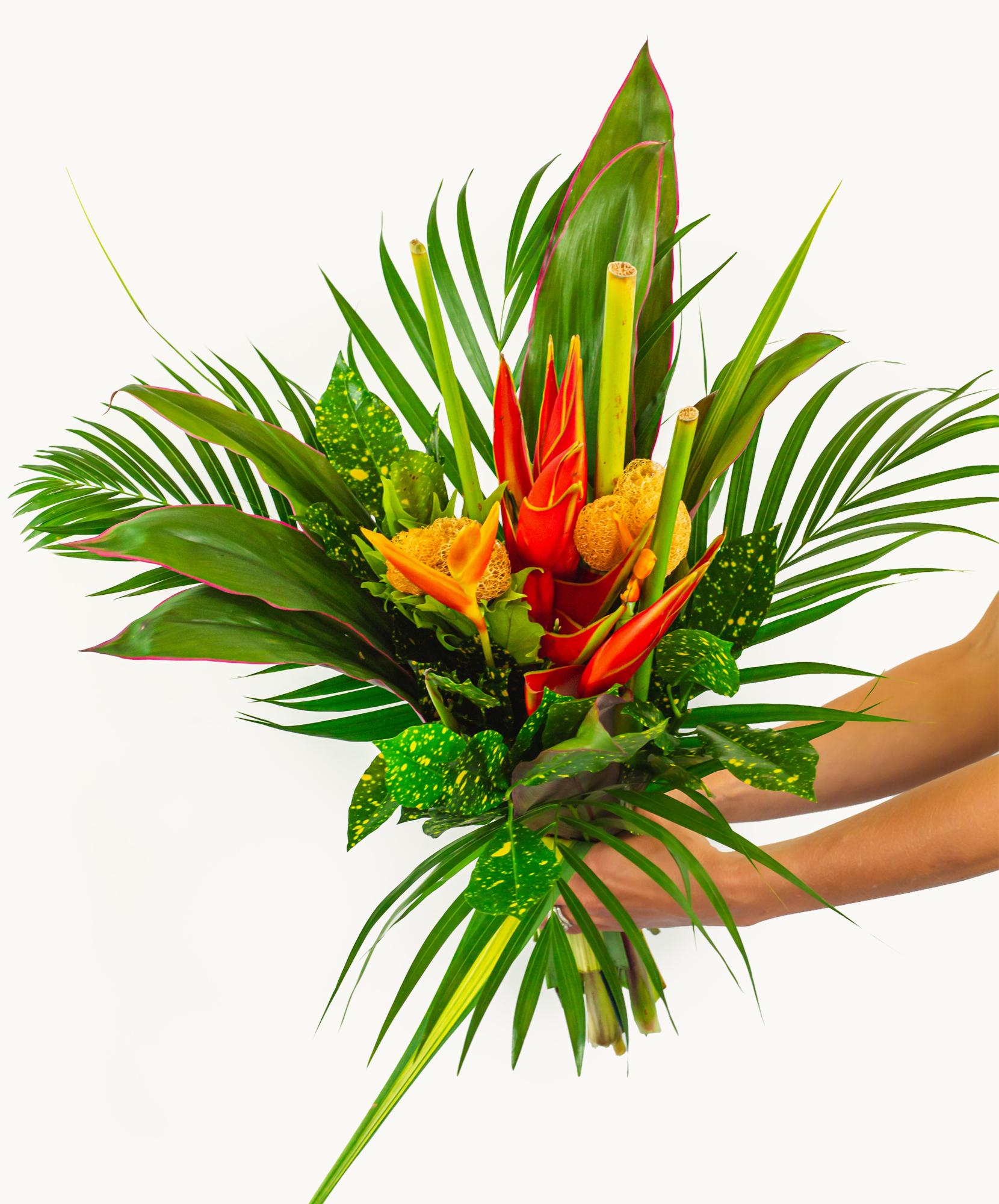 Tropical Flowers & Plants | Flower Delivery | Plant Delivery