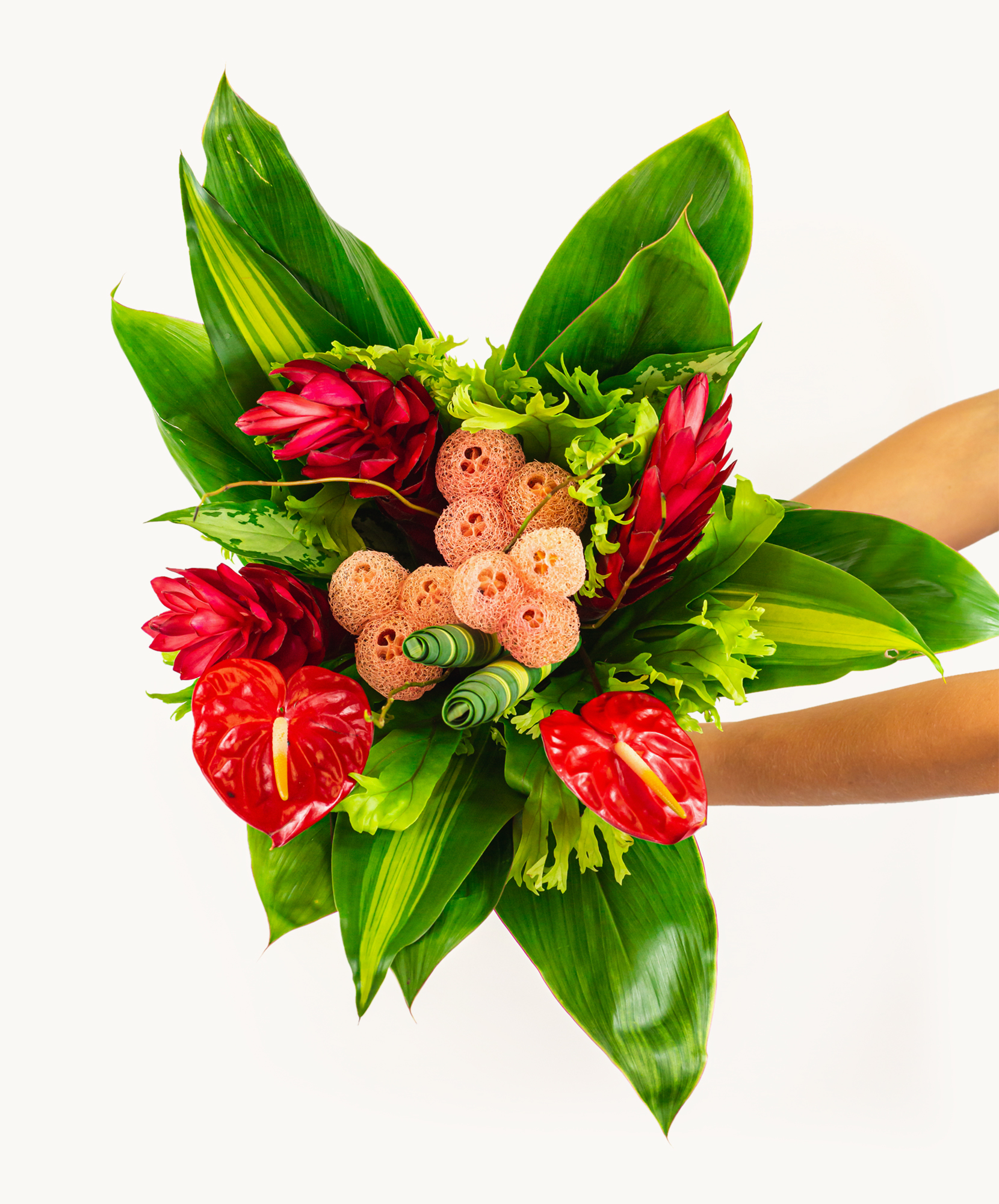 Tropical Flowers & Plants | Flower Delivery | Plant Delivery