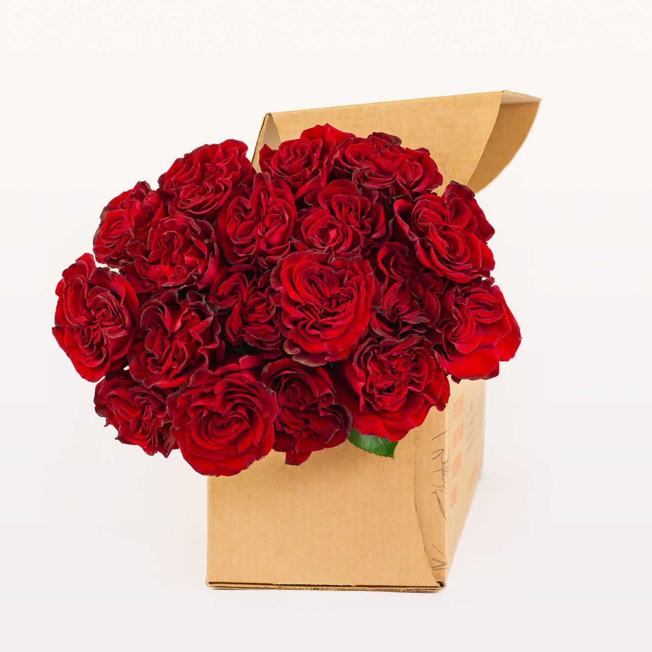 Flower Subscription Gift | Send Flowers | BloomsyBox