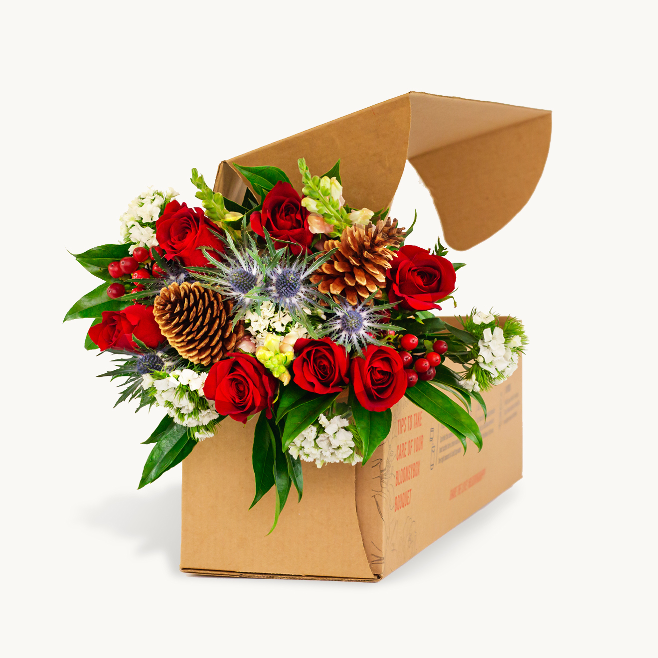 Flower Subscription | Flower Boxes | BloomsyBox
