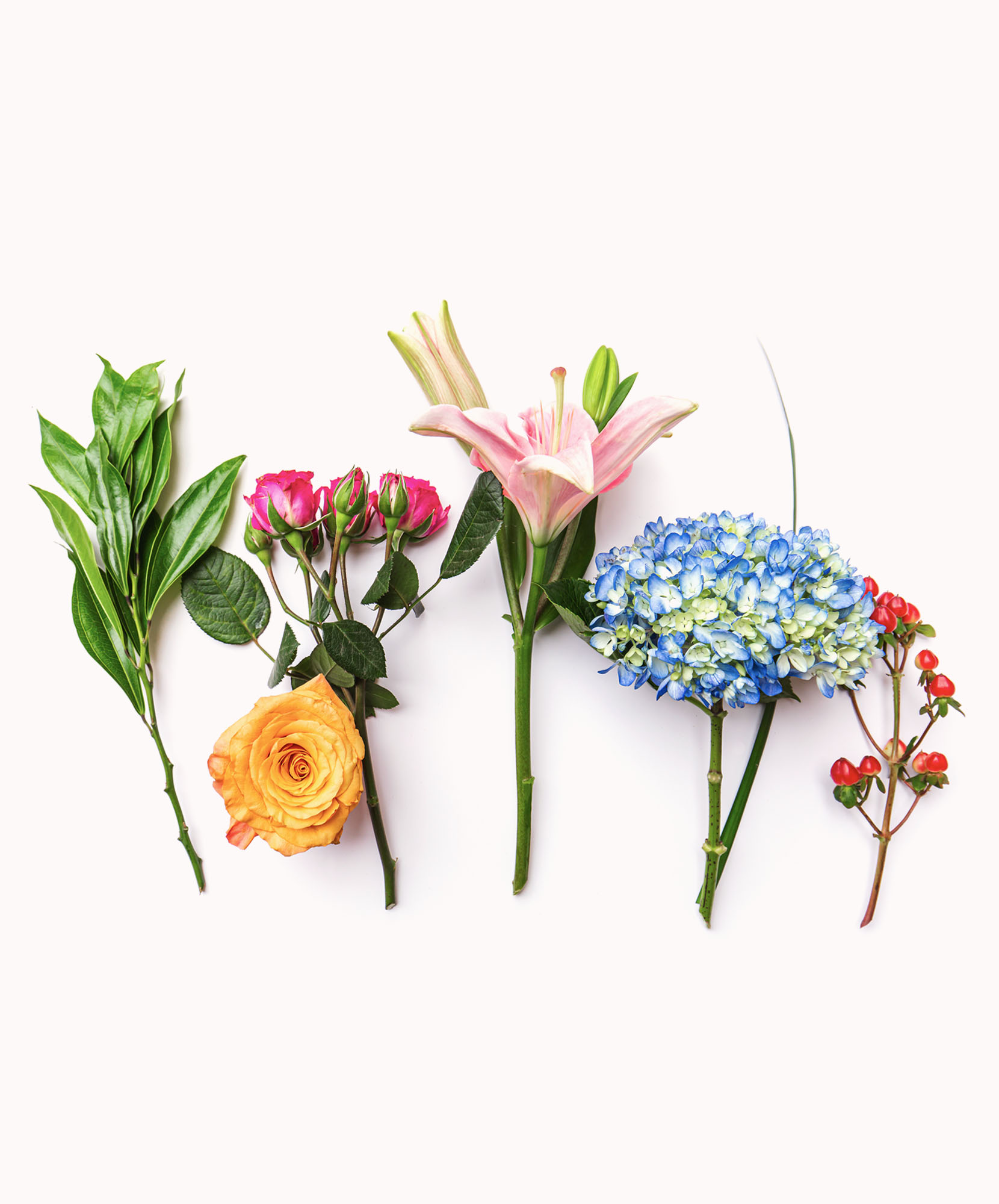 Mystic Bloom Harmony