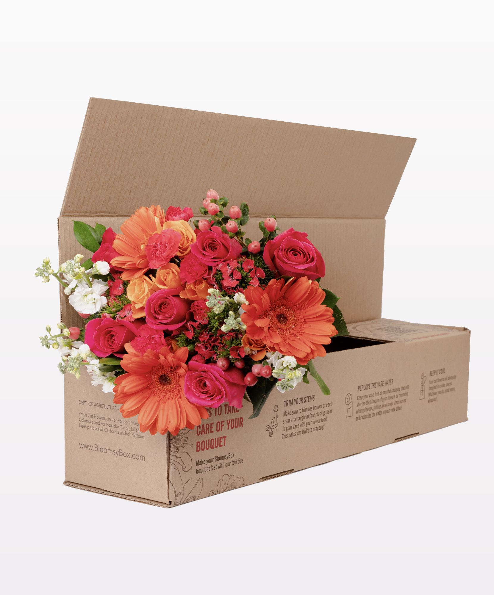 Full Bloom | BloomsyBox