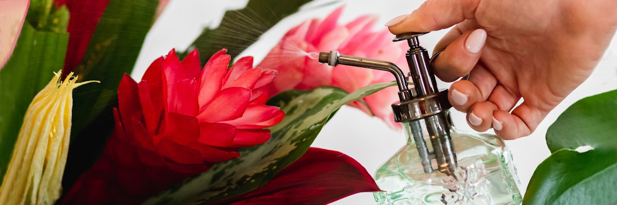 Revive Your Flowers: Expert Tips for Longer-Lasting Blooms