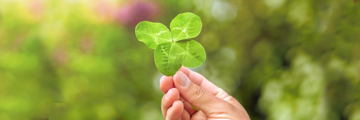 Four-Leaf Clovers Mystique: St. Patrick's Day Insights