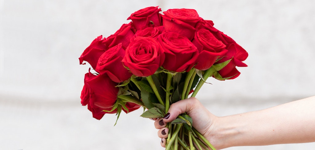 The Symbolic Meaning of Two Dozen Red Roses Explained