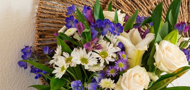 September Birth Flowers: Aster & Morning Glory | BloomsyBox