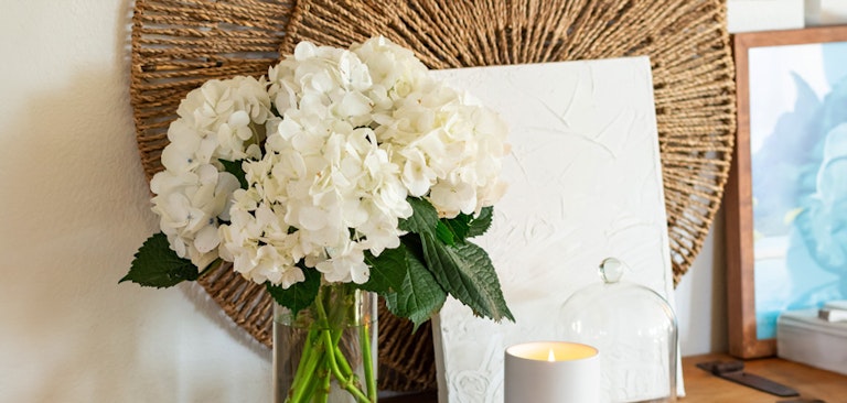 Flower Meanings & Symbolism for Every Occasion