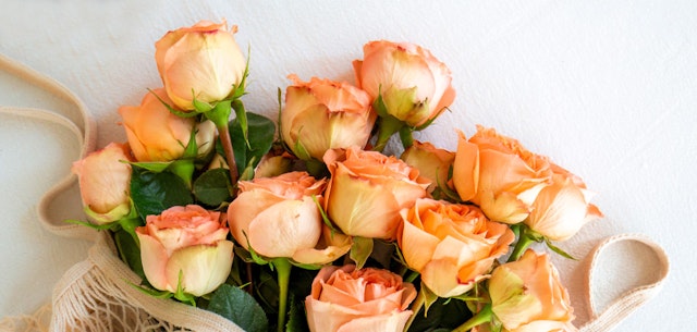 The Best Smelling Flowers for Relaxation and Aromatherapy