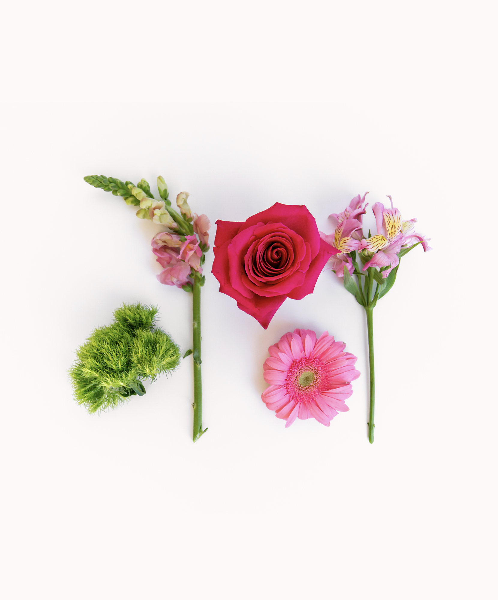 All The Frills | BloomsyBox