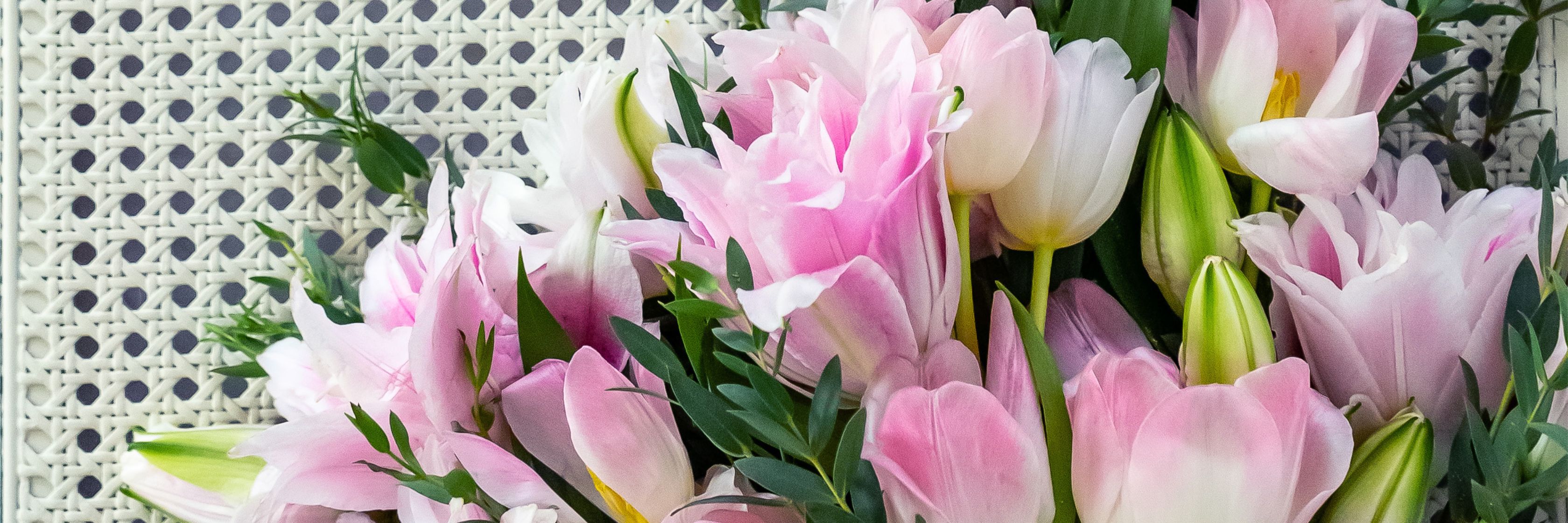 Spring's Symbol: The Beauty and Renewal of Tulips