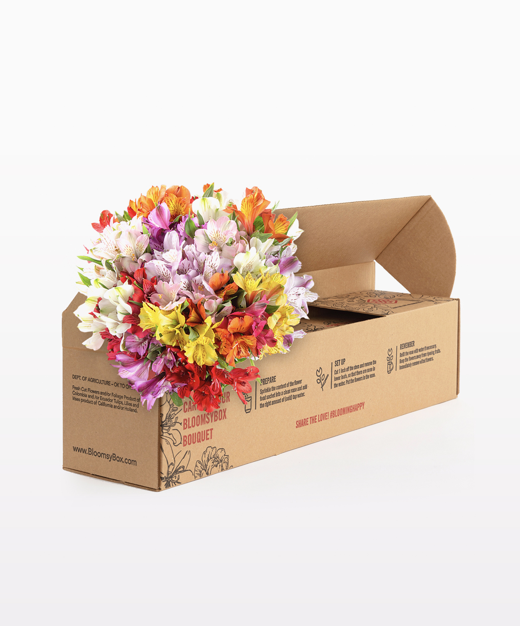 Valentines Day Flowers Delivery | BloomsyBox