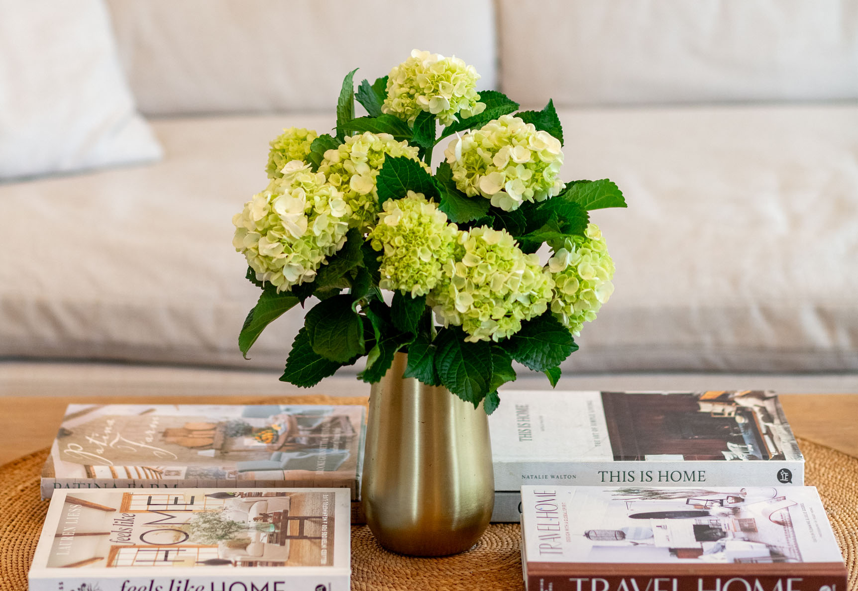 Mini Green Hydrangea