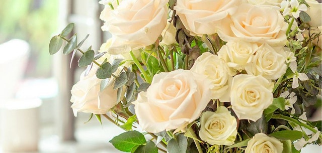 Best Sympathy & Funeral Flower Delivery in Raleigh