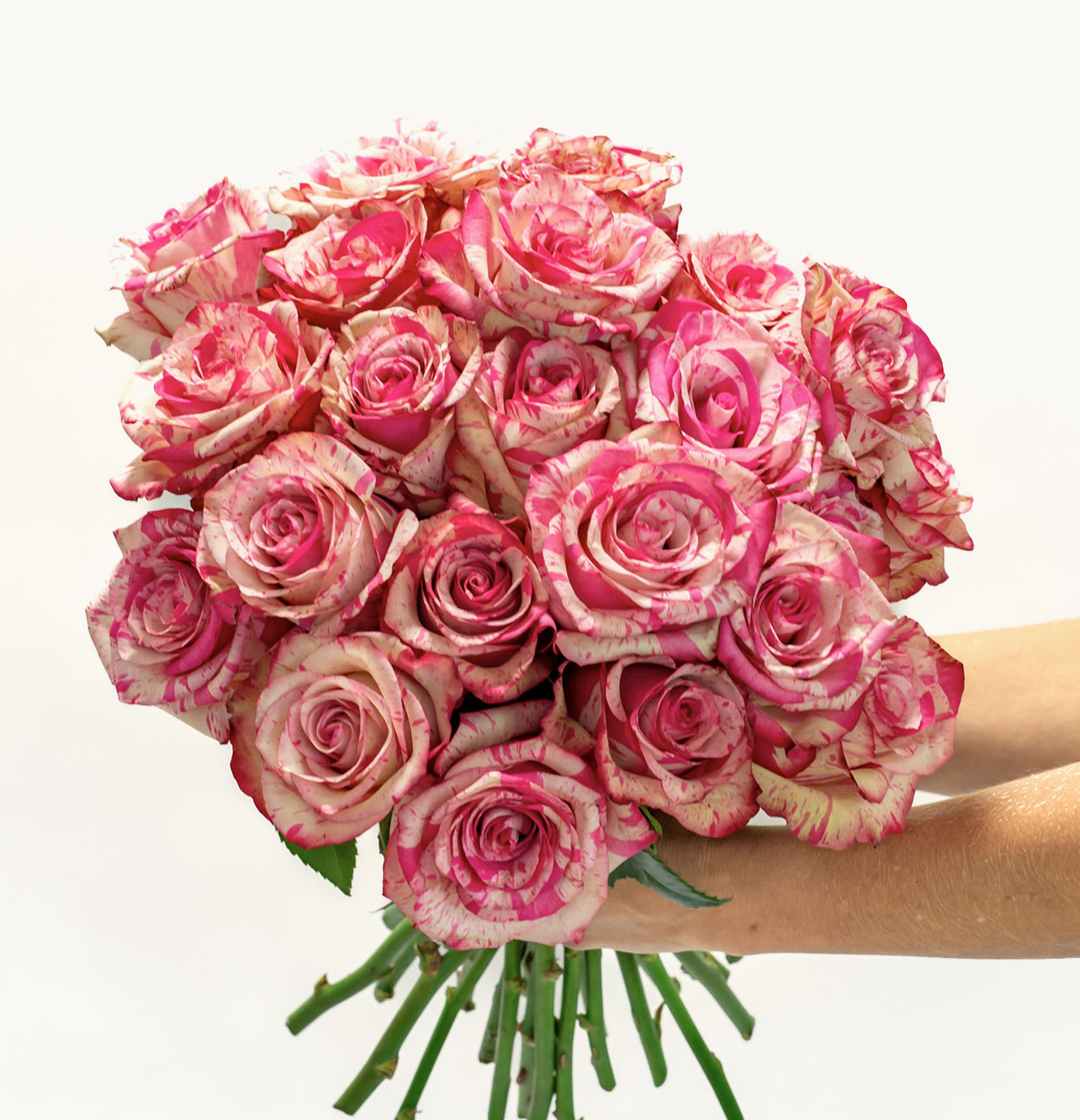 Bouquet of Roses Delivery | Send Roses | BloomsyBox