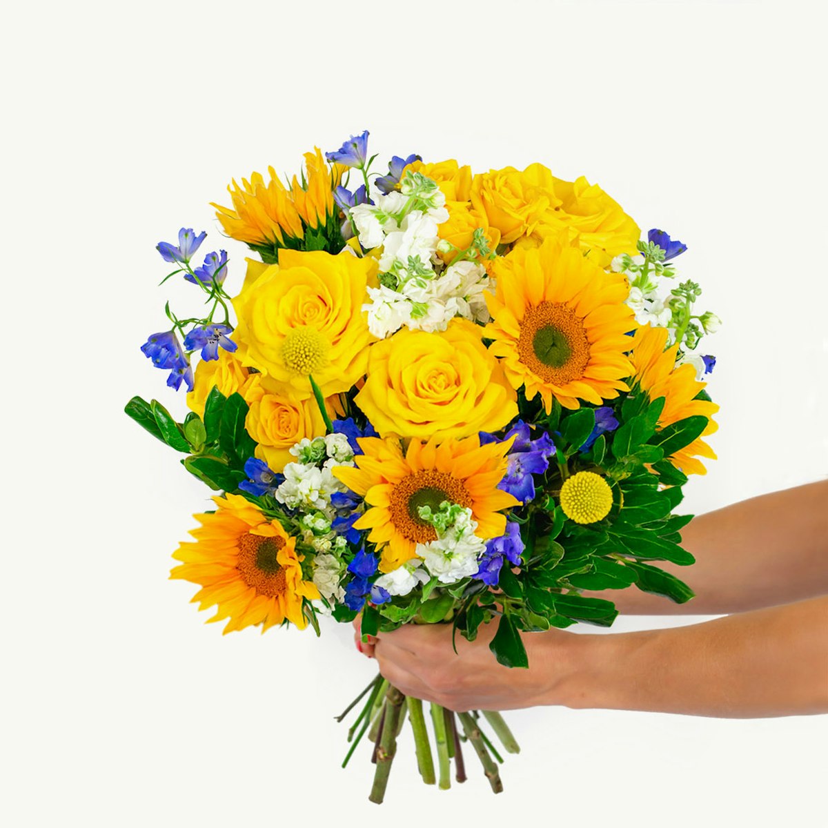 Bloomsy Original Subscription | The original flower subscription plan ...