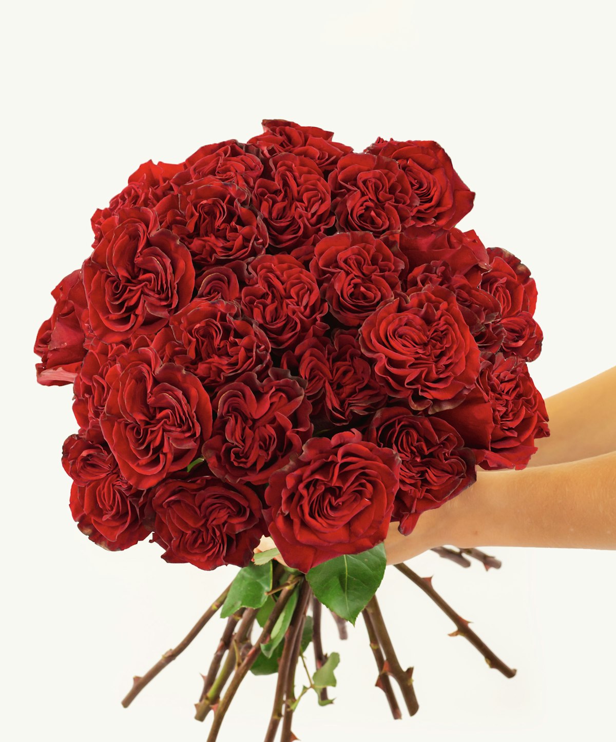 FACEBOOK - Deep Romance 24 stems