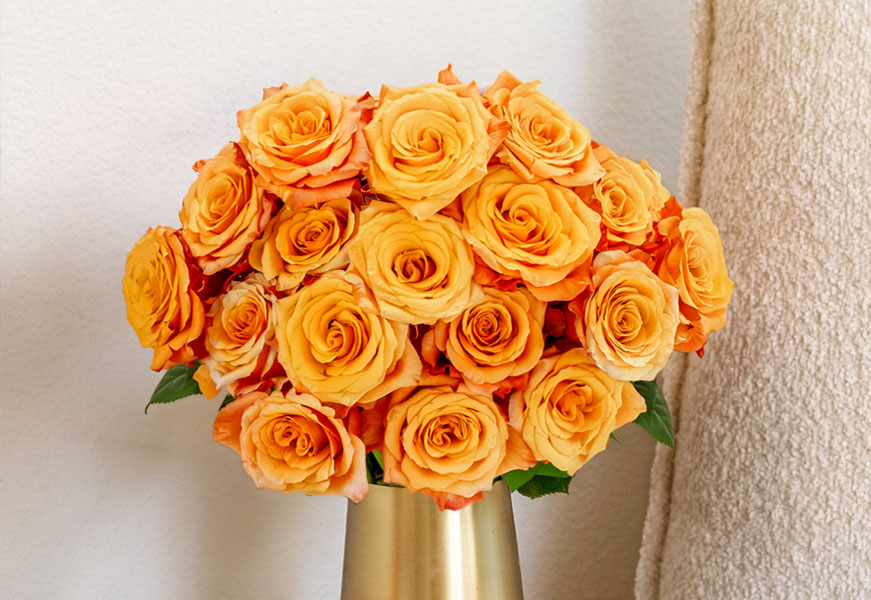 Fiery Sunset Roses| BloomsyBox | BloomsyPedia
