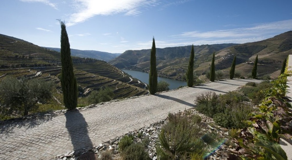 Spontaneous Applications: Join the Sogrape Team