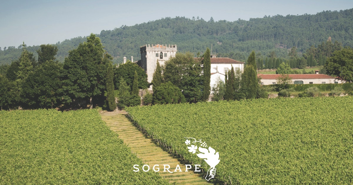 Enoturismo Sogrape: Descubra o nosso património histórico