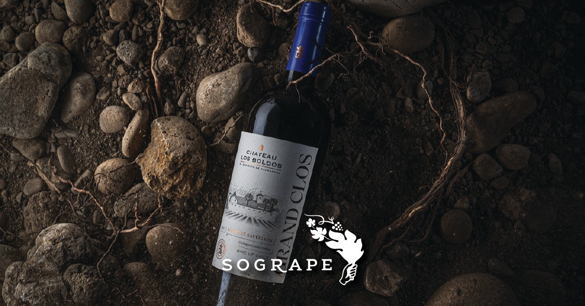 Chateau Los Boldos, a Sogrape Wine
