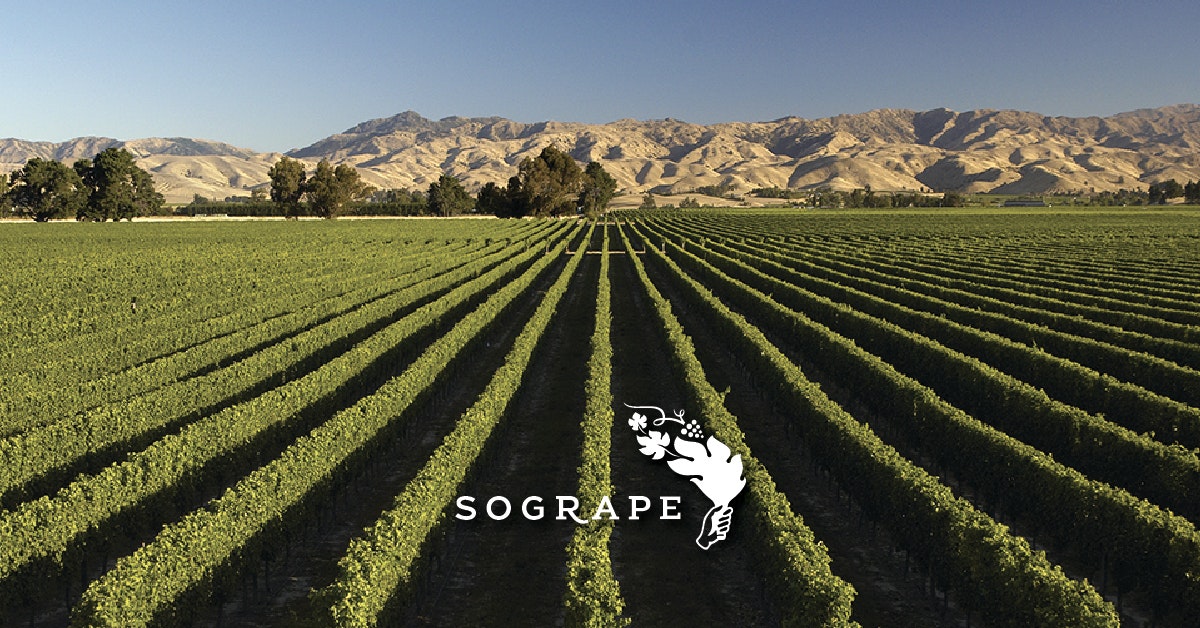 Talento em destaque: Oportunidades na Sogrape