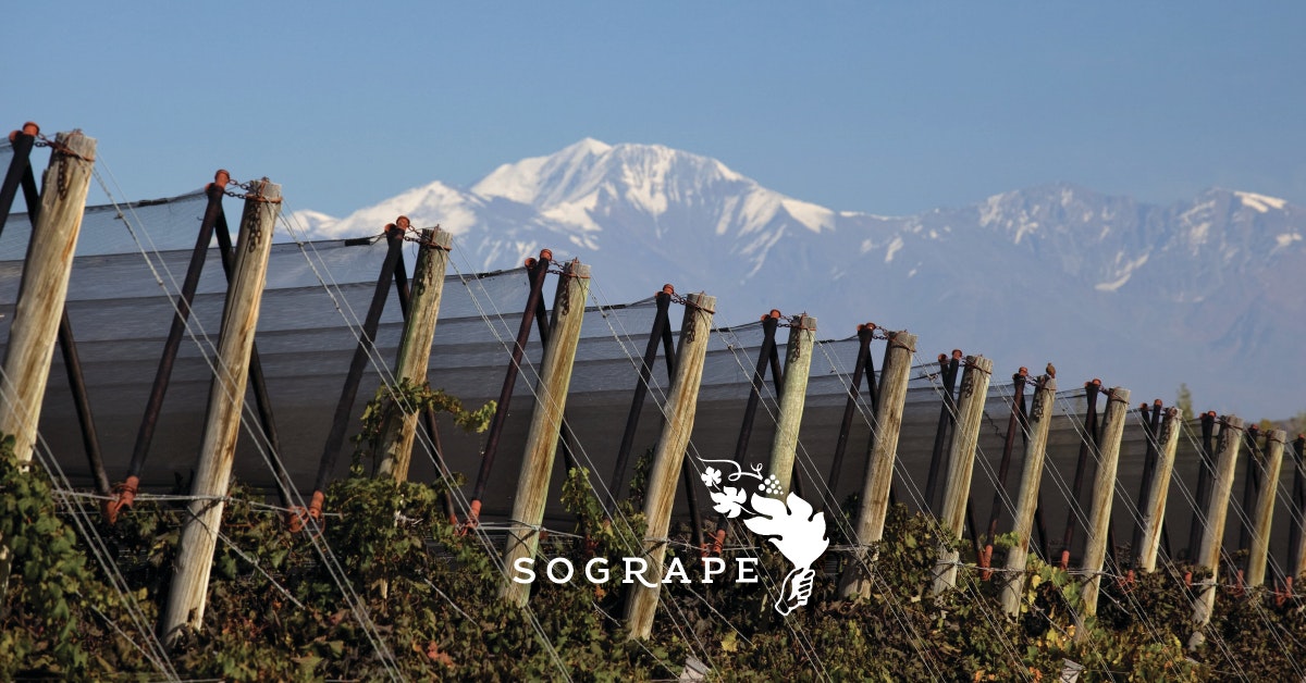 A nossa história | Sobre a Sogrape