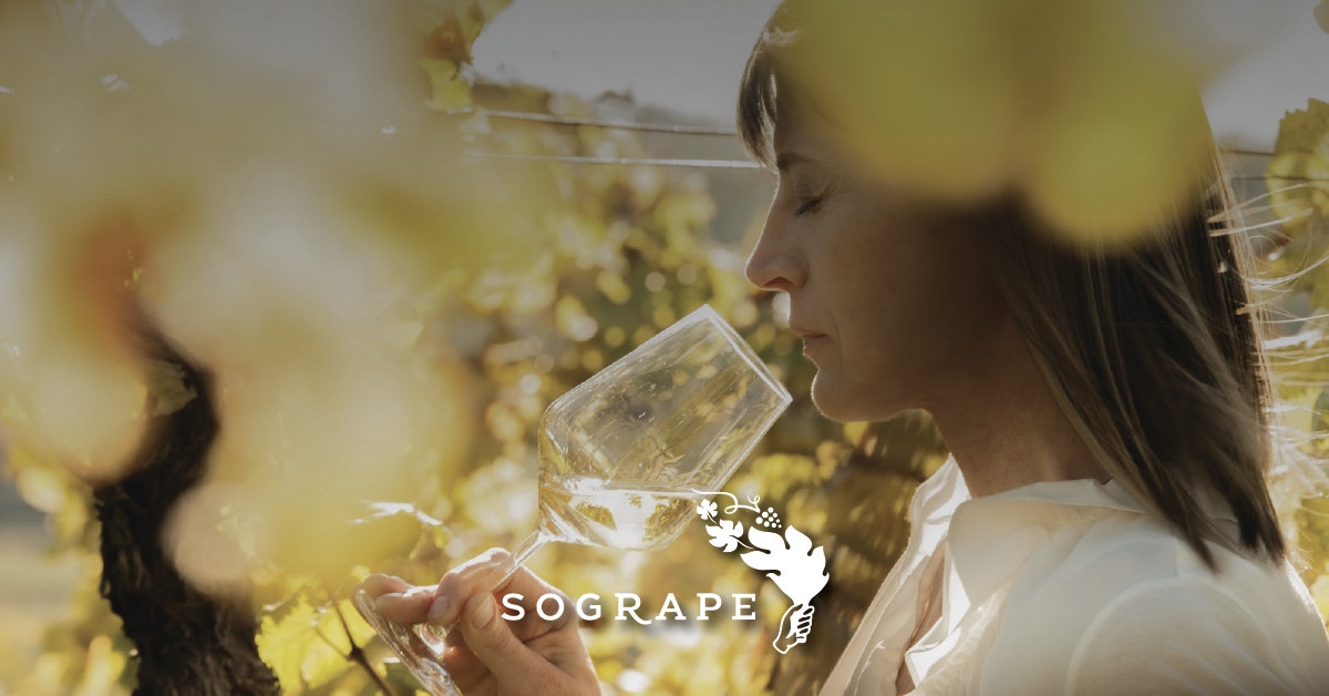 Inovação e Investigação: o Futuro na Sogrape