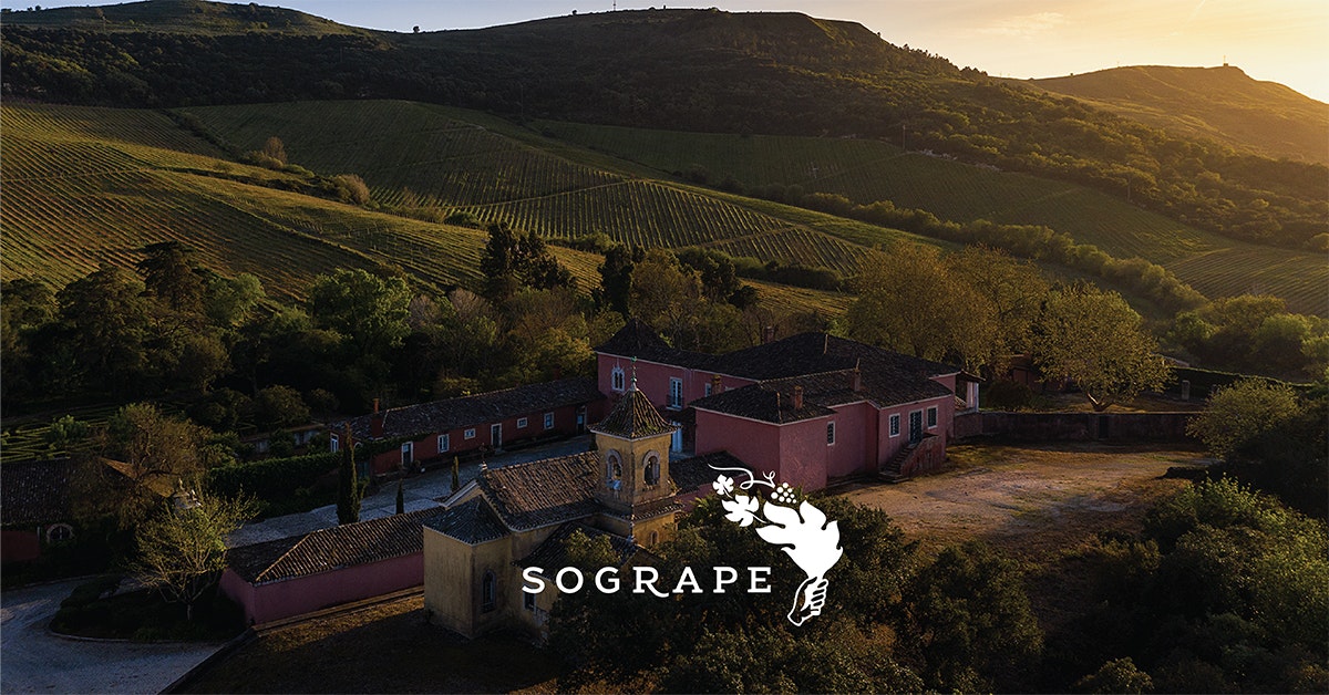 Quinta da Romeira: una marca Sogrape
