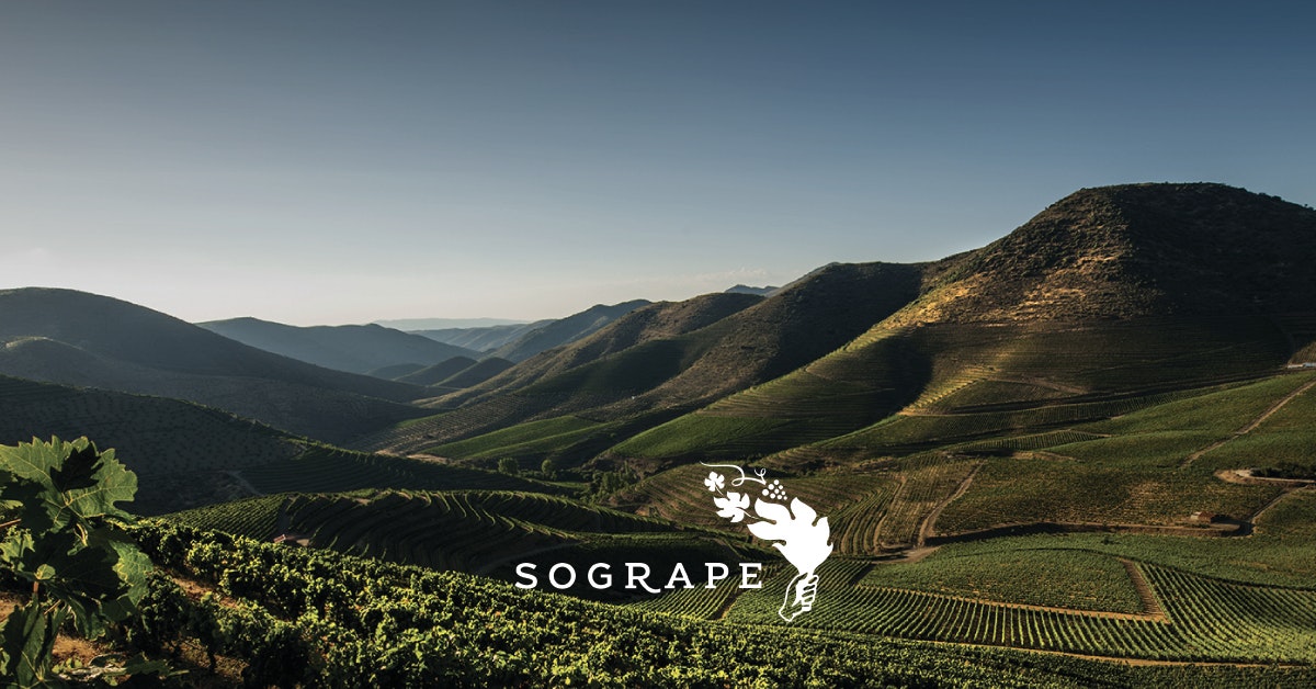 Marca Casa Ferreirinha: Vinhos de Excelência Sogrape
