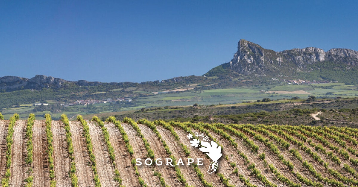 Política da Sogrape para a Qualidade, Ambiente e Segurança