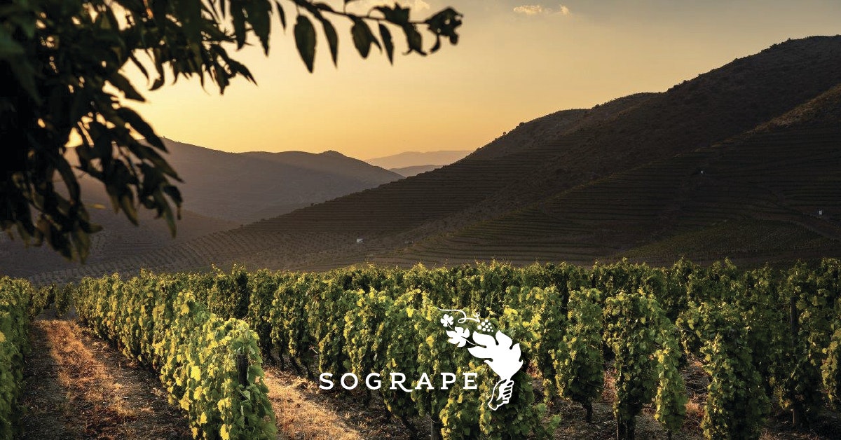 Bucelas, a Sogrape vineyard