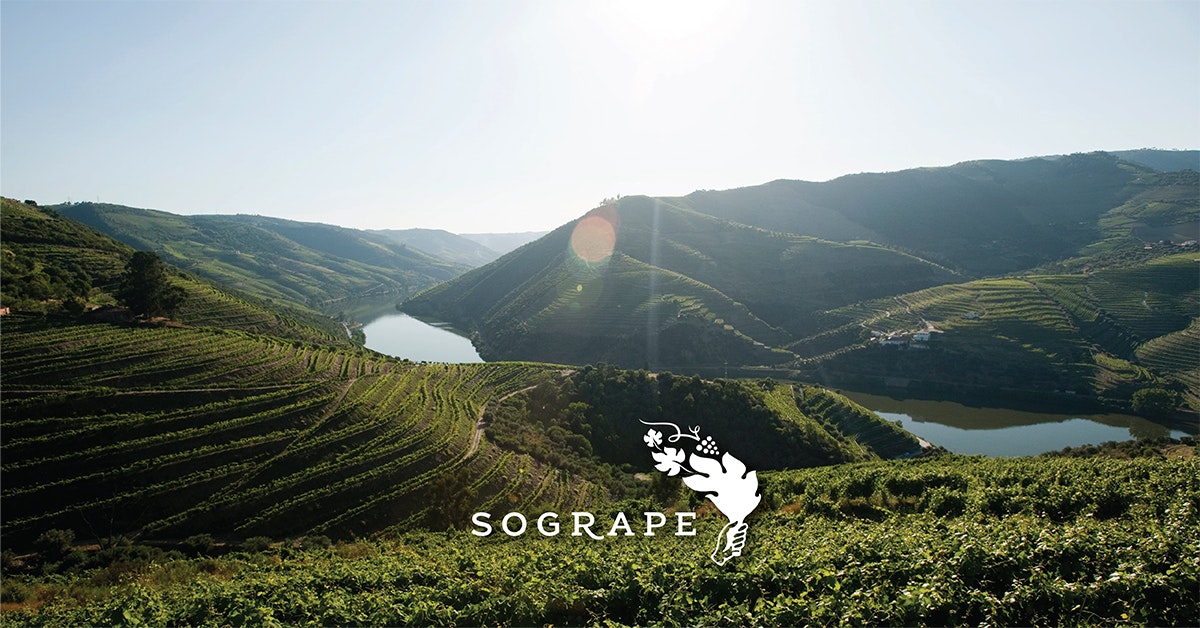 Portugal, um país de produção Sogrape