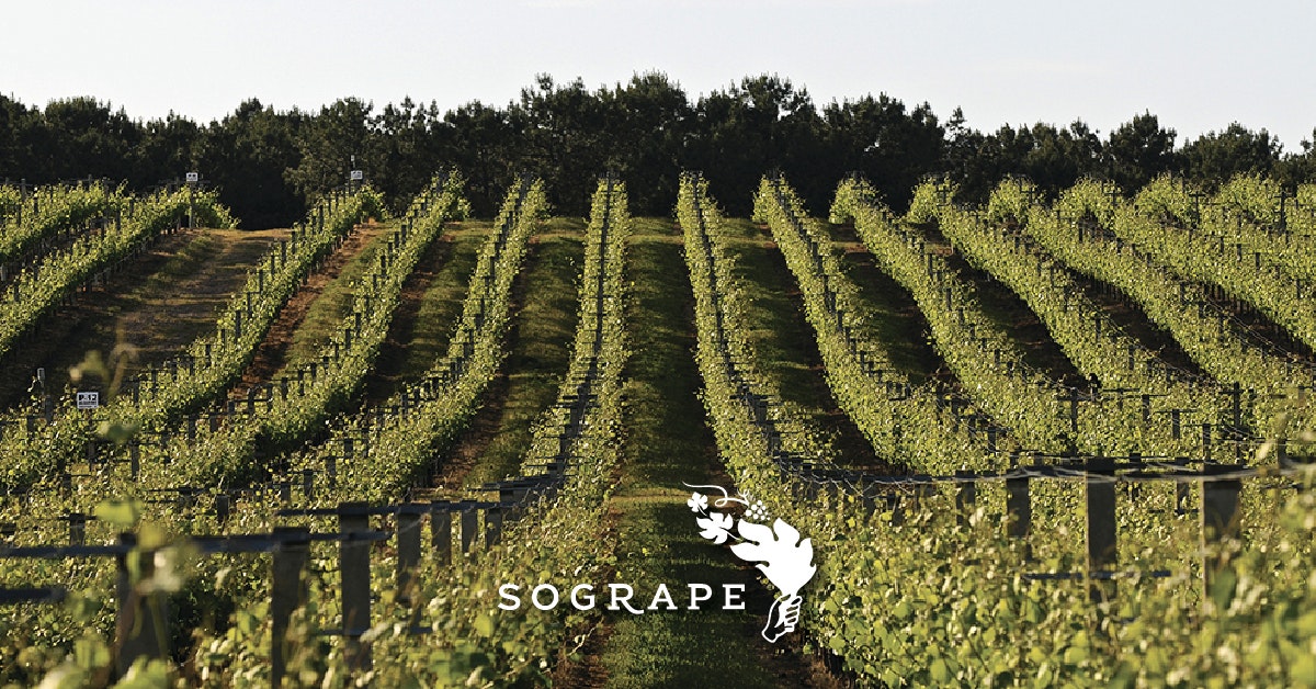 Spain, a Sogrape production country