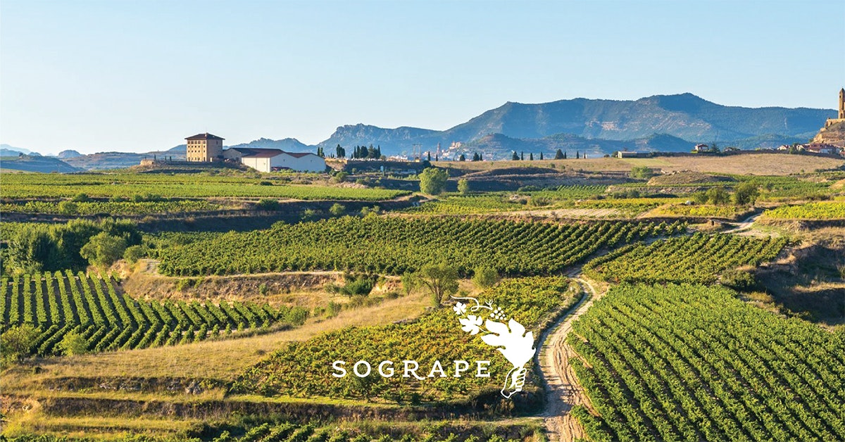 Dão, a Sogrape vineyard