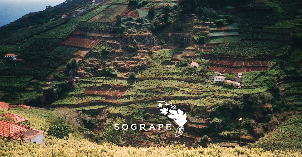 Madeira, a Sogrape production region