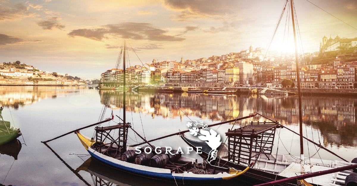 Sogrape Distribuição: Qualidade e Eficiência