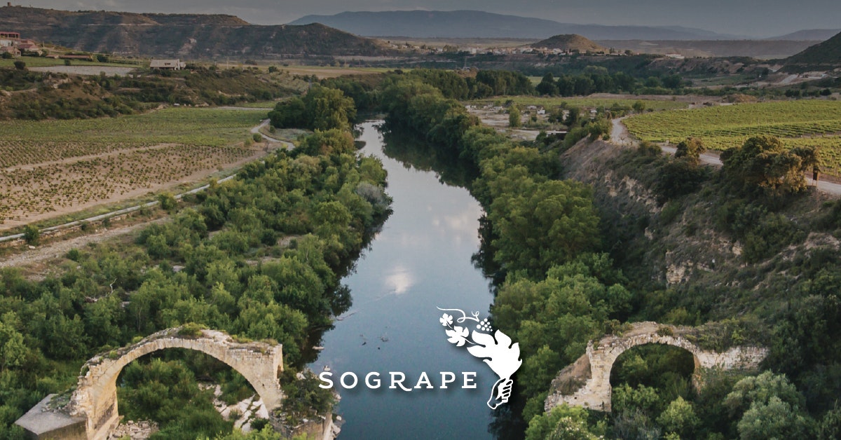 Últimas notícias da Sogrape: Novidades e atualizações