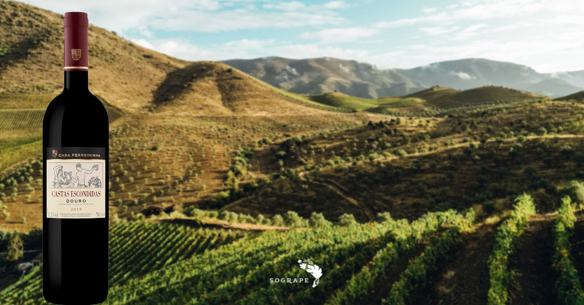 Casa Ferreirinha gives stage to rare varieties