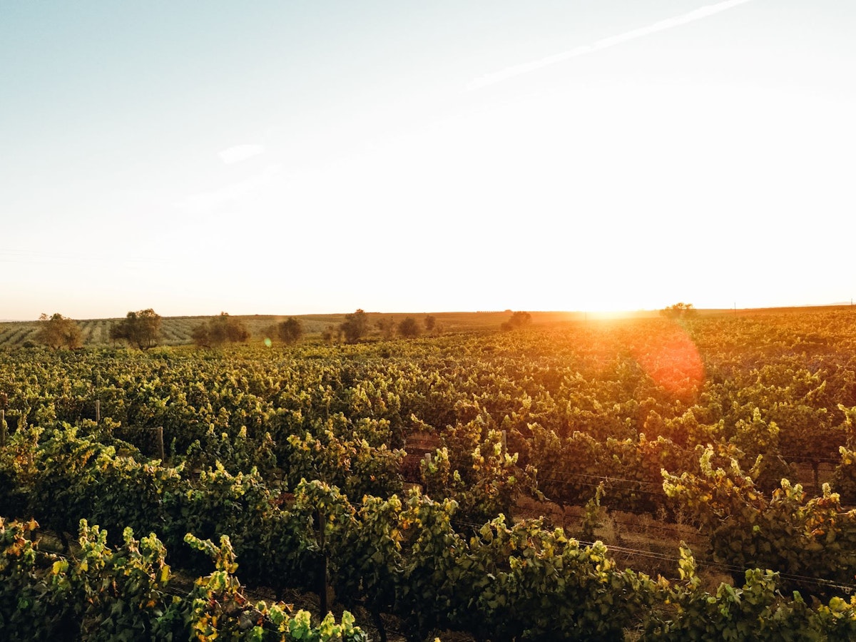 Sogrape’s best of 2022