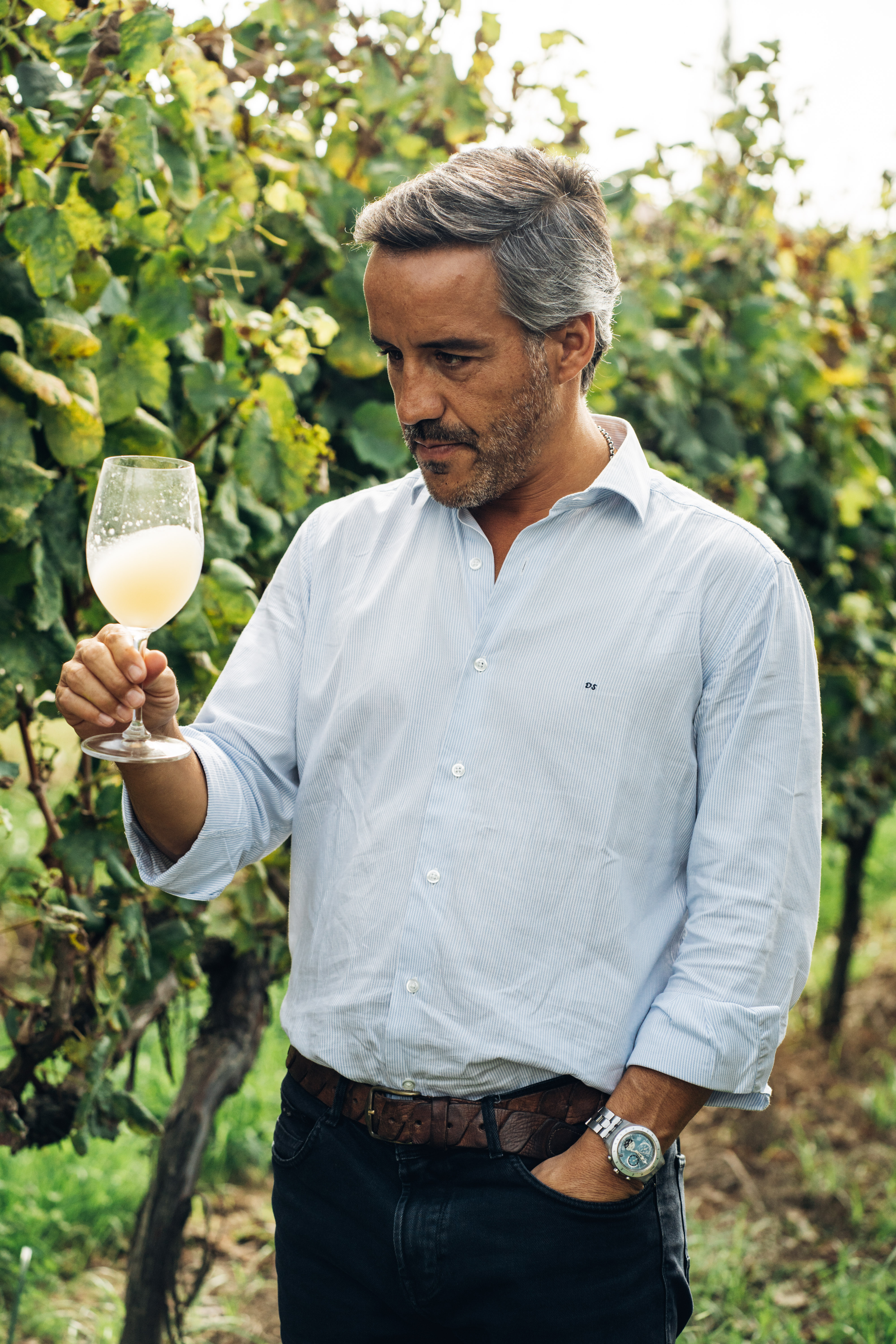 Silk and Spice Brand: Discover Sogrape Wines