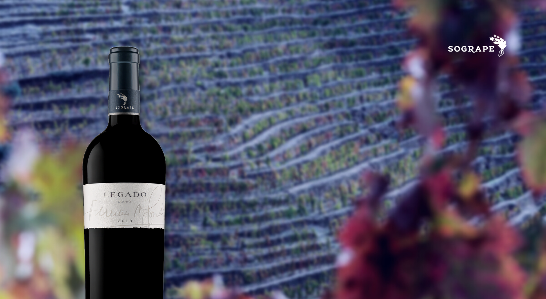 Legado: The 2018 vintage has just reached the market