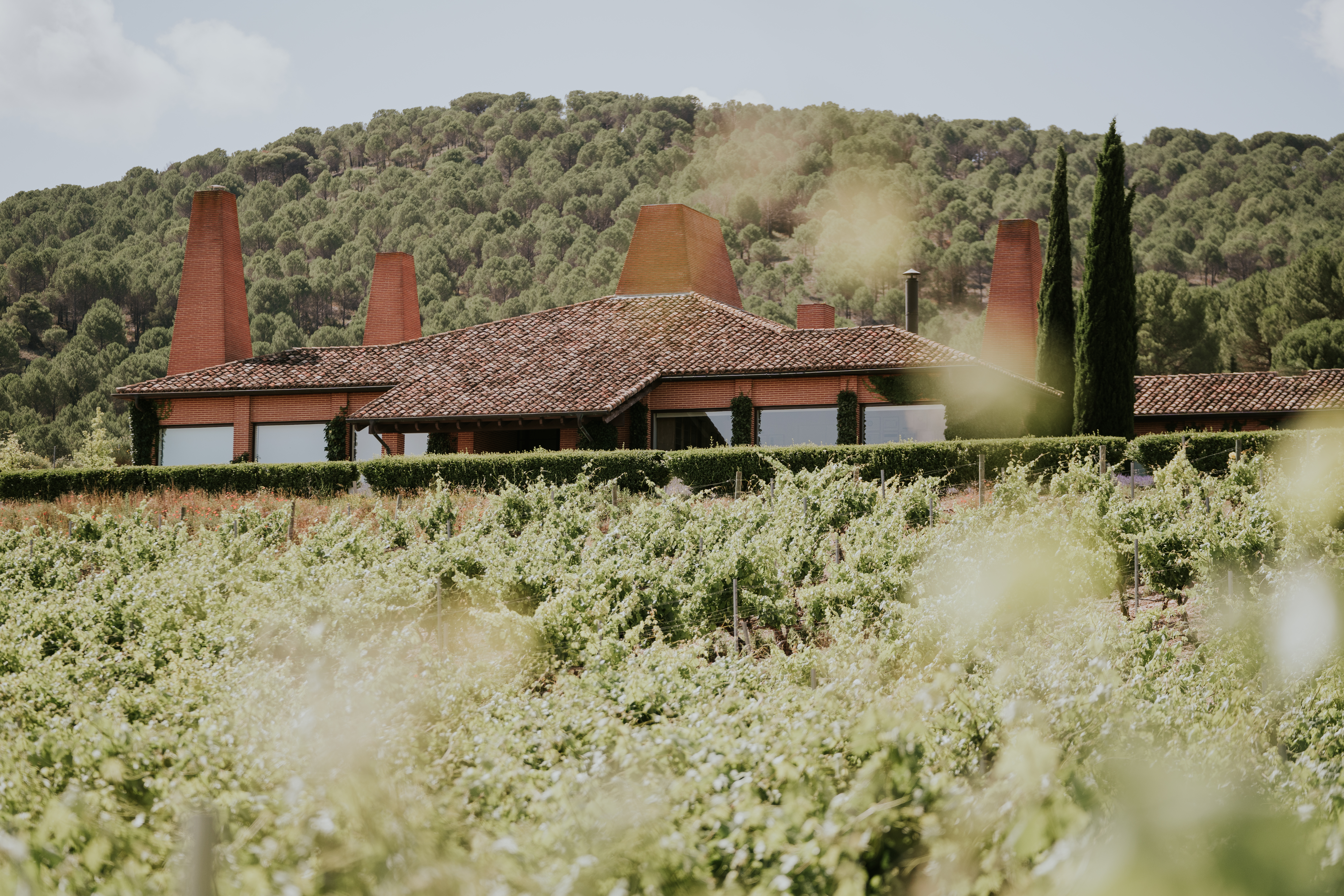 Sogrape strengthens its Iberian presence