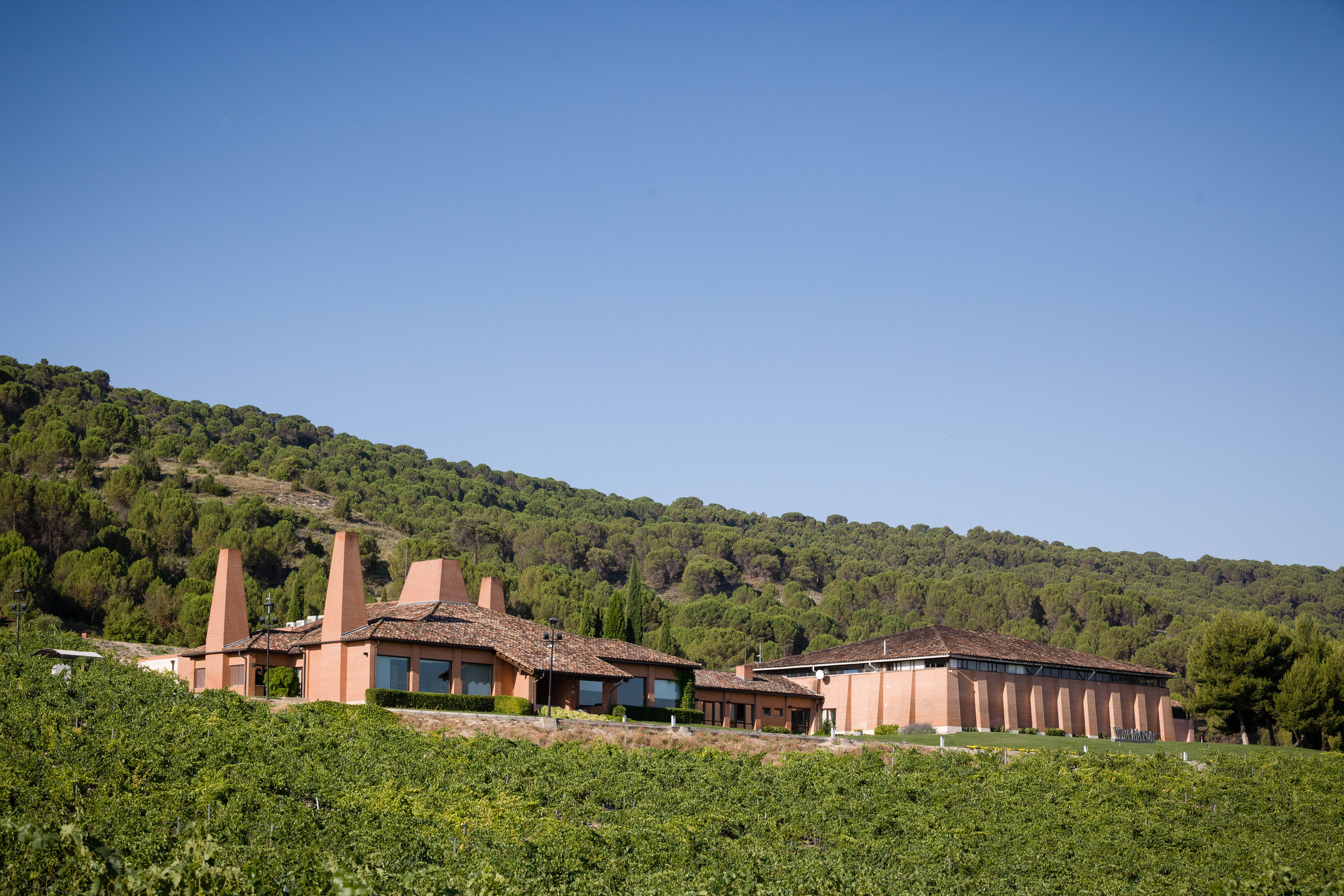 Viña Mayor, a Sogrape wine