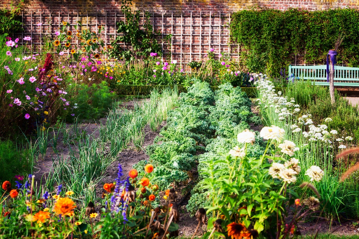 Organic Gardening | Blog | California SummerWinds