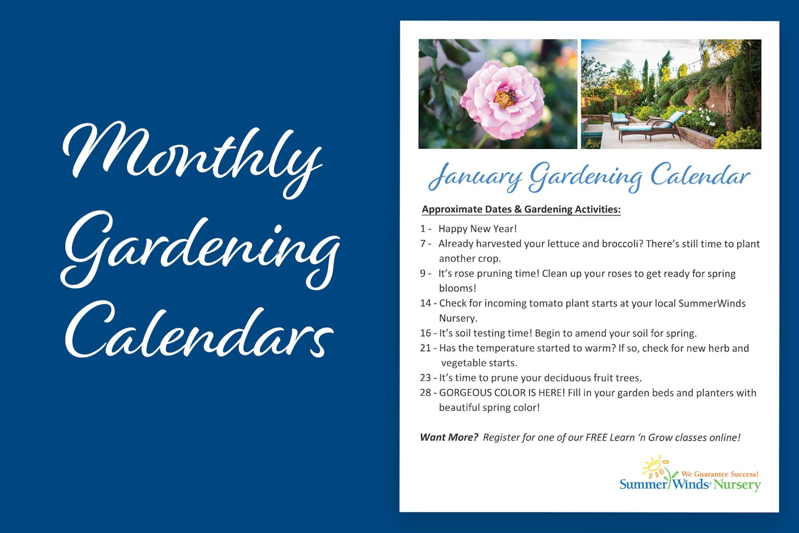 Garden Inspiration | Arizona SummerWinds Nursery