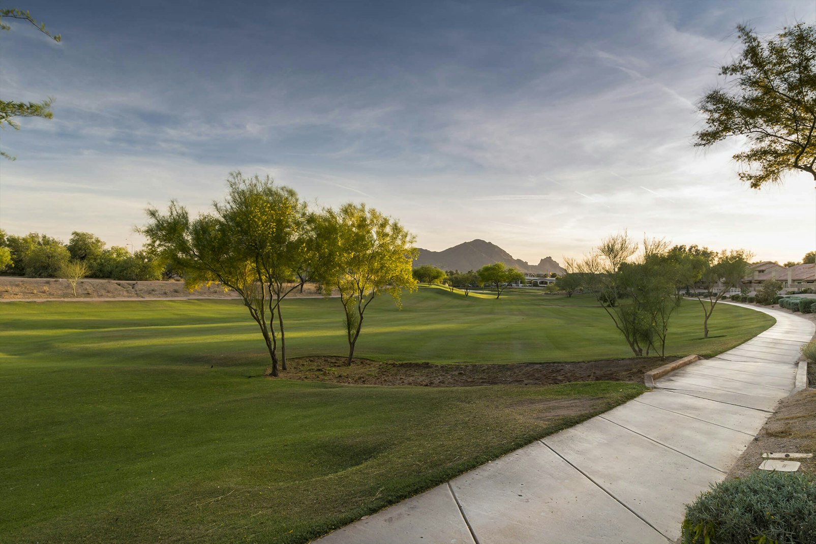 Desert Watering Guides | Arizona SummerWinds Nursery